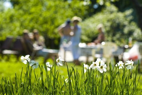 Inbjudan till sommarfest och öppet medlemsmöte - Vallentuna
